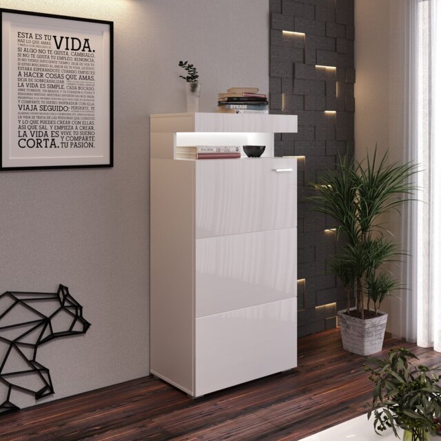 Neerings Display Cabinet with Lighting by Wayfair | ufurnish.com