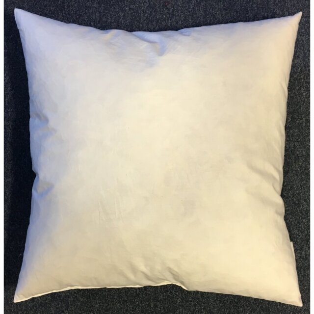 Beristain Duck Feather Square Scatter Cushion Filler Pad by Wayfair ...