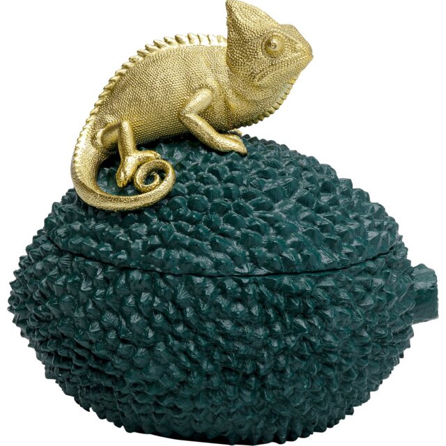 Deco Box Chameleon 20 by Wayfair | ufurnish.com