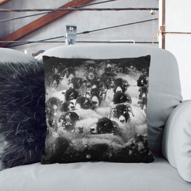 Flock of Sheep Vol.2 Paint Splash Scatter Cushion by Wayfair | uFurnish.com