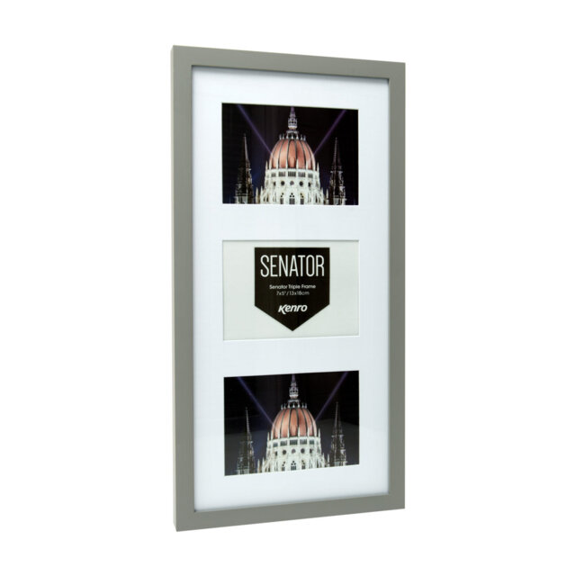 Senator Picture Frame by Wayfair | uFurnish.com