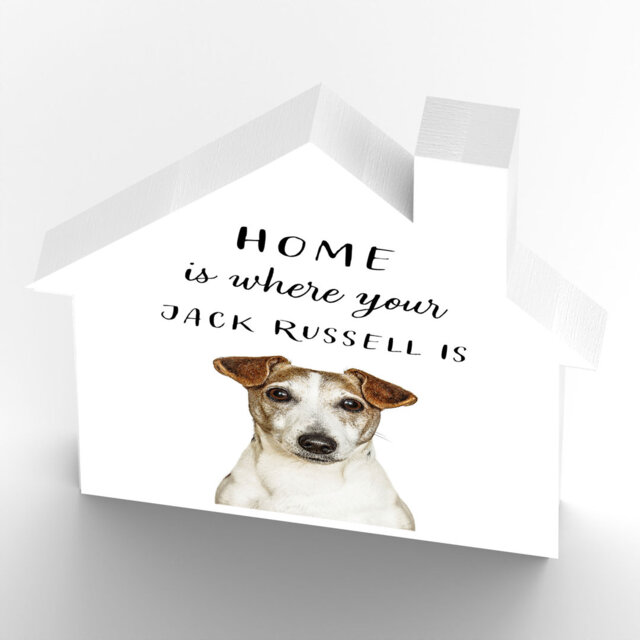Santucci Jack Russell Box Sign by Wayfair | ufurnish.com