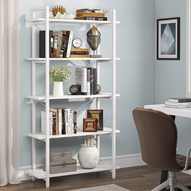 Elaxi Bookcase by Wayfair | ufurnish.com