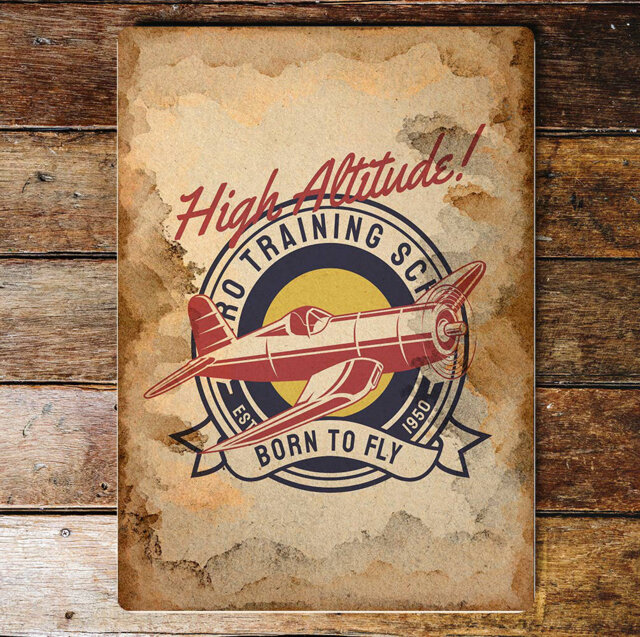 High Altitude Born to Fly Plane Wall Décor by Wayfair | ufurnish.com