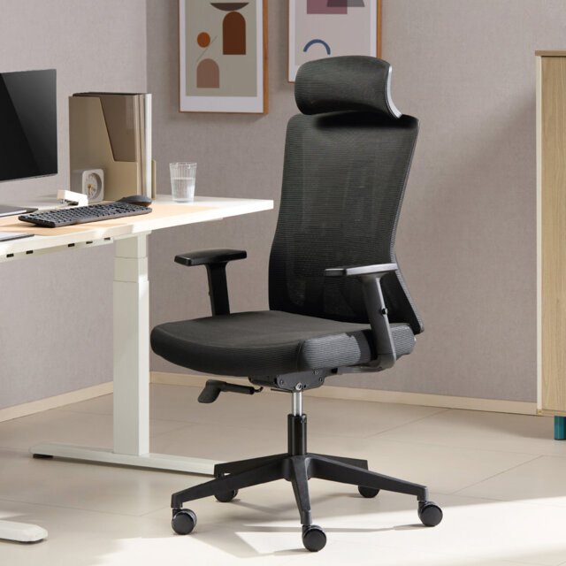 Ashton Plus Office Chair by Wayfair | uFurnish.com