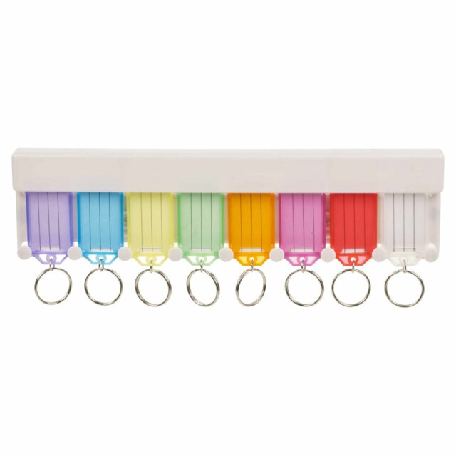 Keyring Tags with Holder Key Hooks by Wayfair | ufurnish.com
