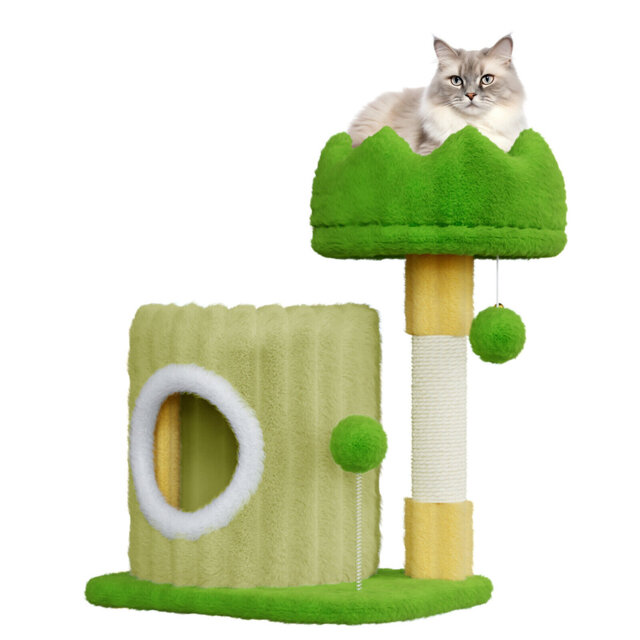 Amadahy 53cm H Cat Tree by Wayfair | ufurnish.com