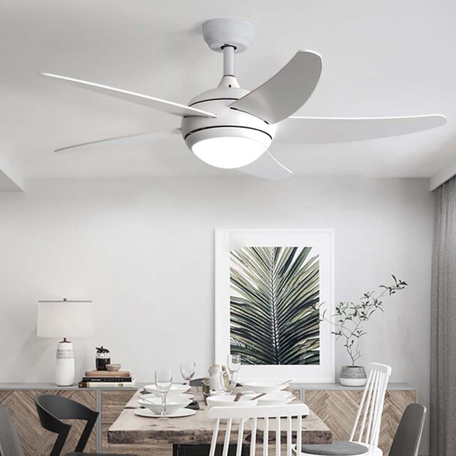 Cheryl-Ann 5 Blade LED Ceiling Fan with Remote by Wayfair | ufurnish.com