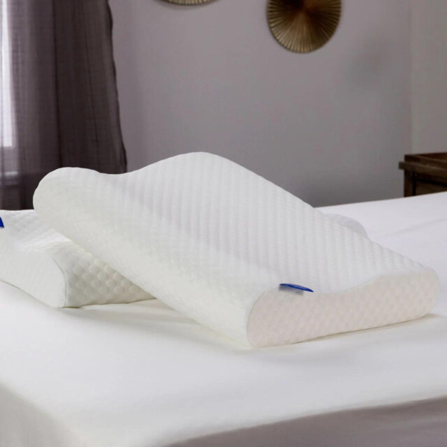 Cool Anatomic Pillow by Wayfair | ufurnish.com