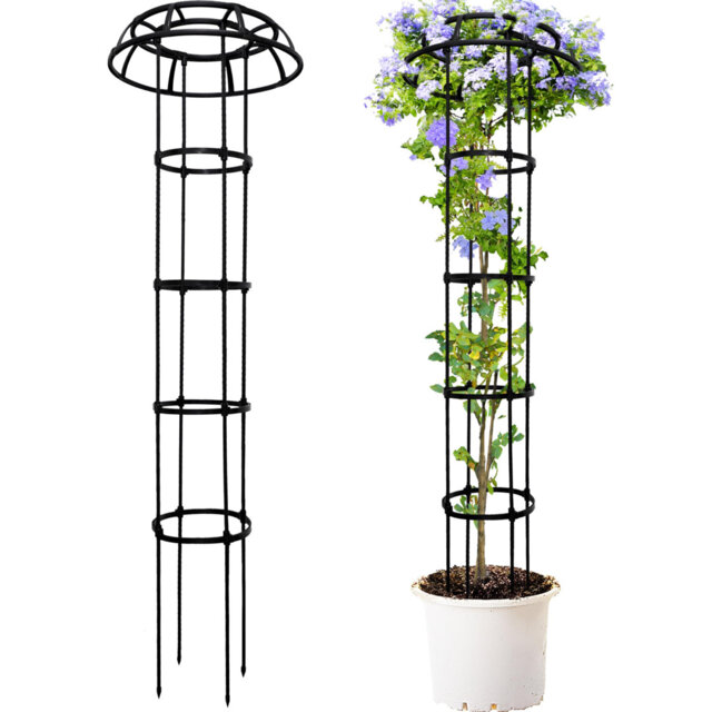 165cm H x 25.5cm W Metal Arched Trellis by Wayfair | ufurnish.com
