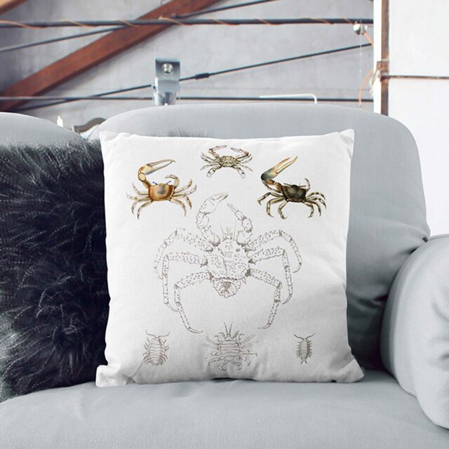 Crabs & Sea Creatures PL. 8 by J.E. De Kay Cushion with Filling by ...