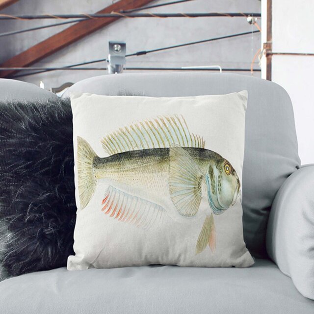 Illustration of a Blue Cod Fish by F.E. Clarke Cushion with Filling by ...