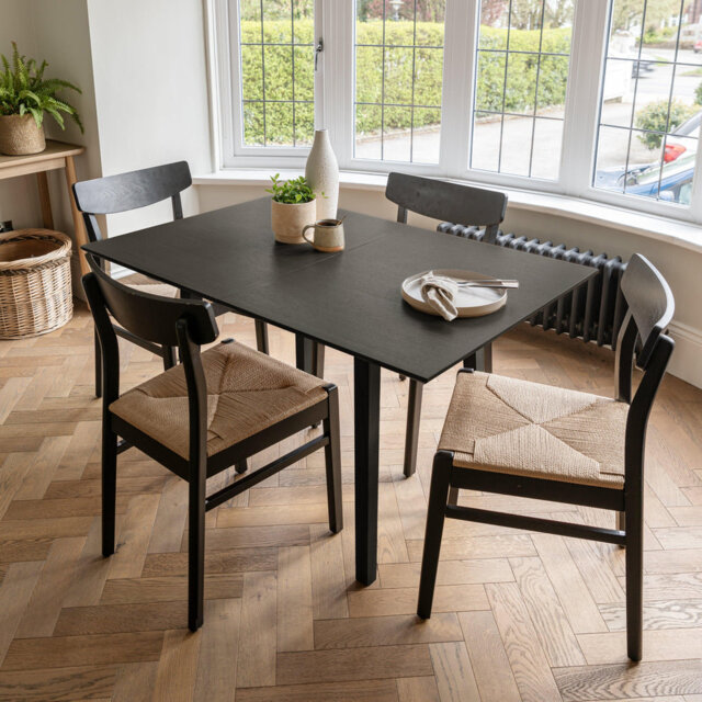 Tenaya 4 Seater Extendable Dining Table Set with Faye Woven Dining ...