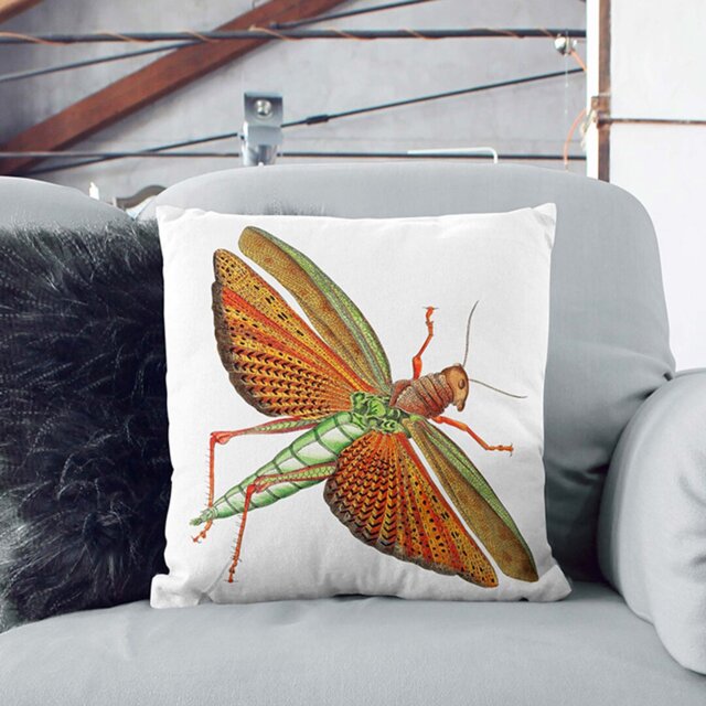 Imperial Locust by George Shaw Cushion with Filling by Wayfair ...