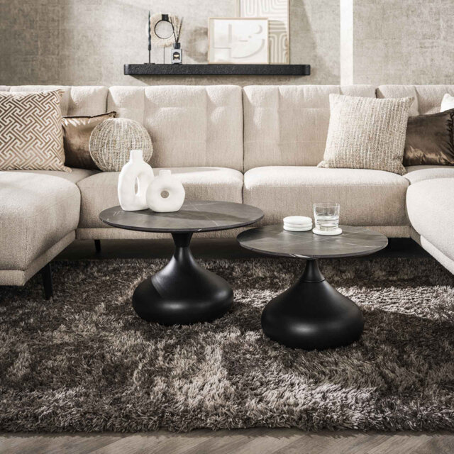 Kokila coffee table by Wayfair | ufurnish.com