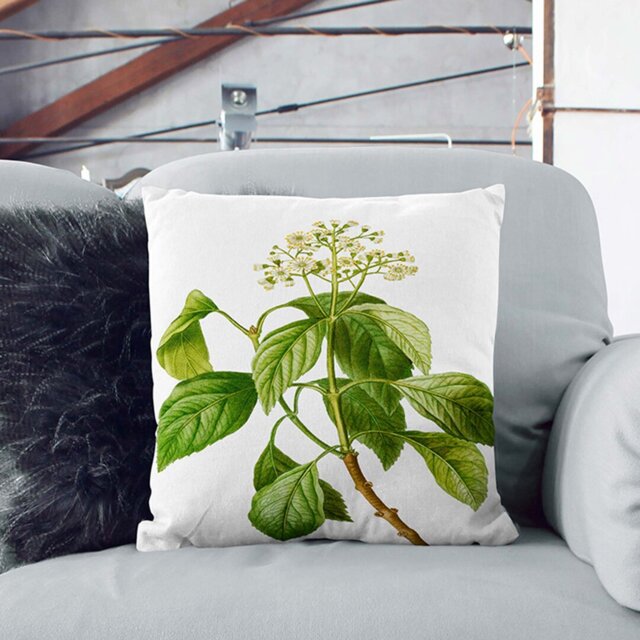 Climbing Hydrangea by Pierre-Joseph Redoute Cushion with Filling by ...
