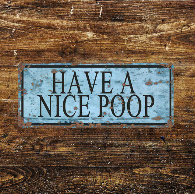 Have a Nice Poop Toilet Wall Décor by Wayfair | ufurnish.com