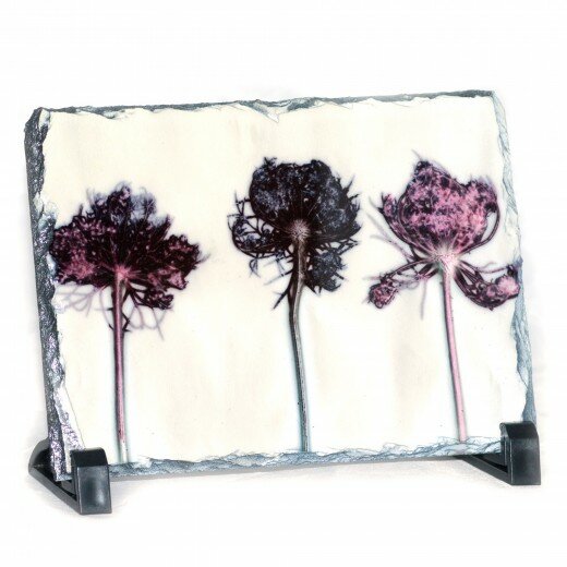 Kobbe Slate Art Print by Wayfair | ufurnish.com