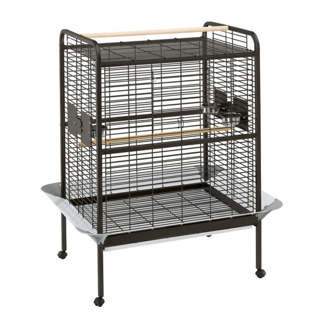 156Cm Flat Top Floor Bird Cage with Wheels by Wayfair | ufurnish.com
