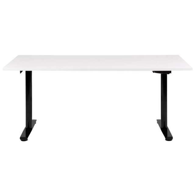 Amarianna Height Adjustable Rectangle Standing Desk by Wayfair | ufurnish.com