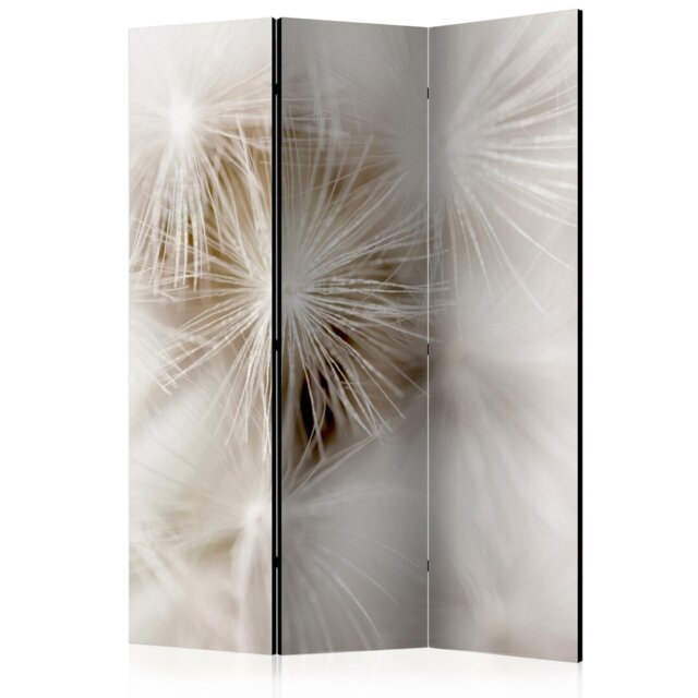 Subtleness Room Divider by Wayfair | ufurnish.com