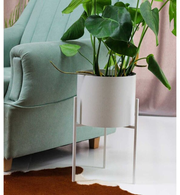Lorine Round Pedestal Plant Stand by Wayfair | ufurnish.com