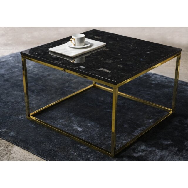 Lexus Frame Coffee Table by Wayfair | ufurnish.com