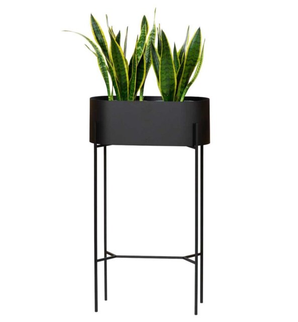 Crisitina Oval Pedestal Plant Stand by Wayfair | ufurnish.com