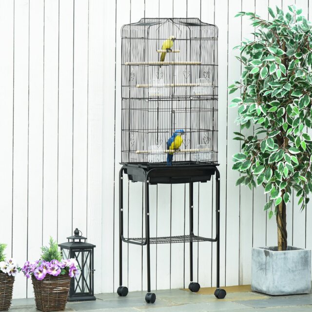 Darin 157Cm Flat Top Floor Bird Cage with Wheels by Wayfair | ufurnish.com