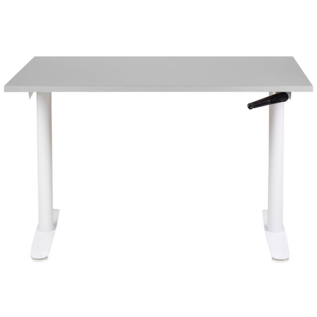 Amarianna Height Adjustable Rectangle Standing Desk by Wayfair | ufurnish.com