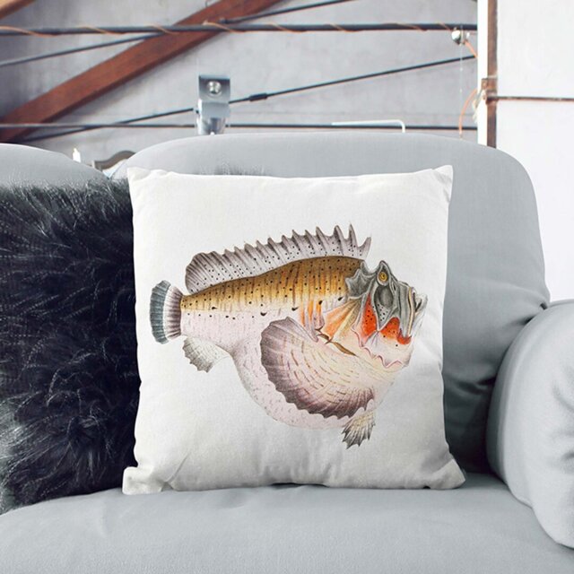 Hog Fish Illustration by John Edward Gray Cushion with Filling by ...