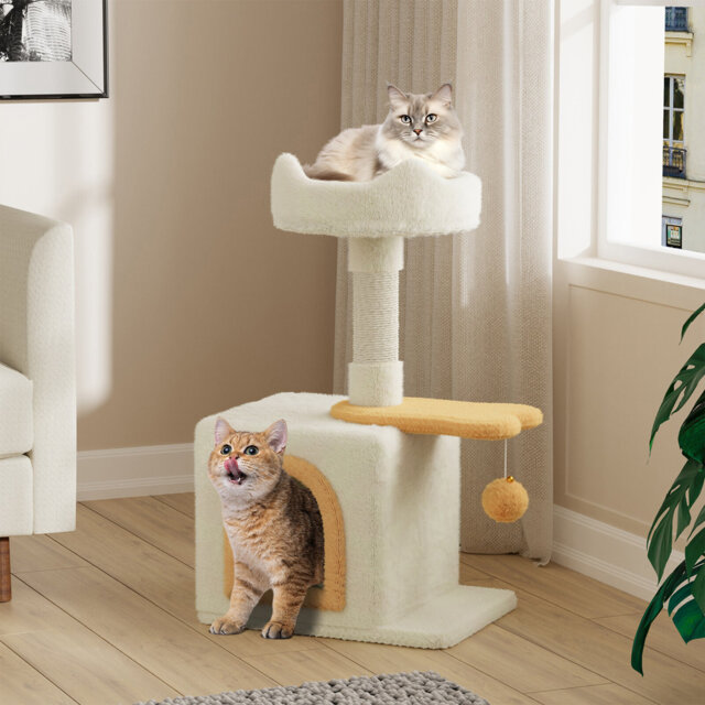 Amadahy 70cm H Cat Tree by Wayfair | ufurnish.com