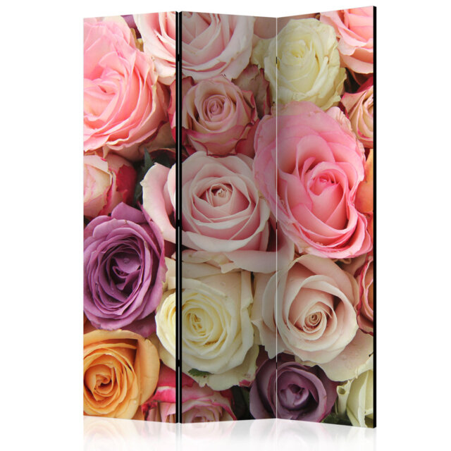 Room Divider - Pastel Roses [Room Dividers] by Wayfair | ufurnish.com