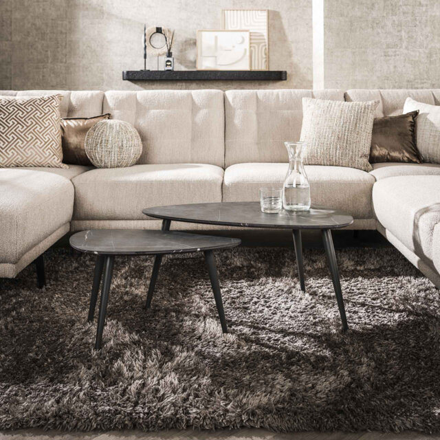 Coffee table set/2 Charmion pear -shaped by Wayfair | ufurnish.com