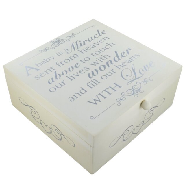Abi a Baby Is a Miracle Baby Box by Wayfair | ufurnish.com