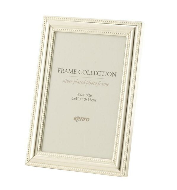 Siri Picture Frame by Wayfair | ufurnish.com