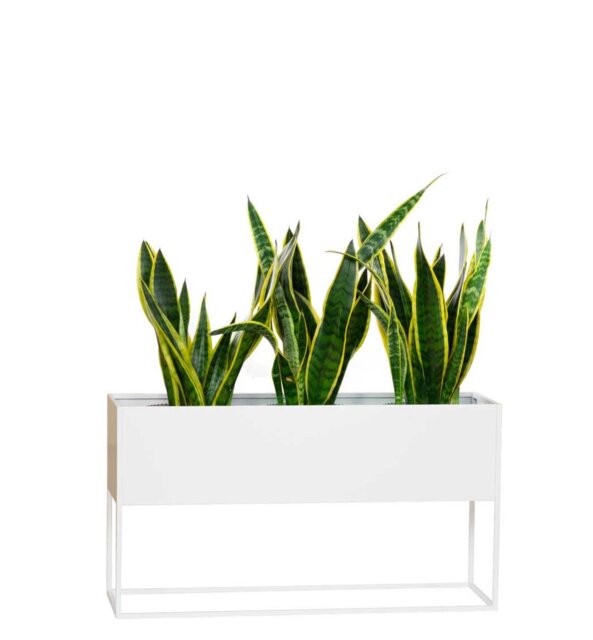 Crisha Rectangular Pedestal Plant Stand by Wayfair | ufurnish.com