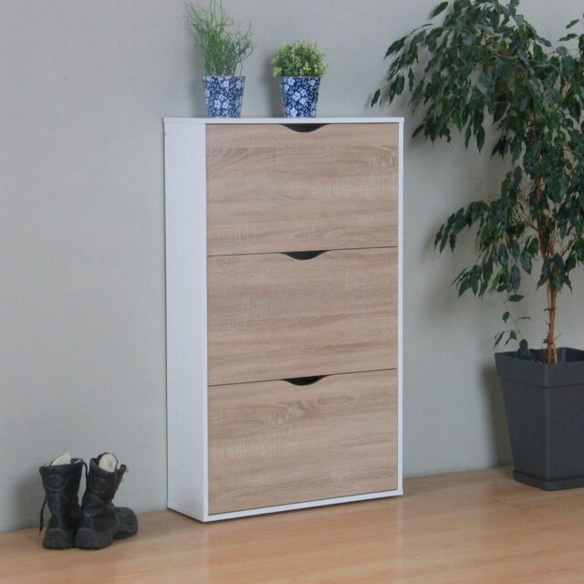 Jax 24 Pair Shoe Storage Cabinet by Wayfair | ufurnish.com