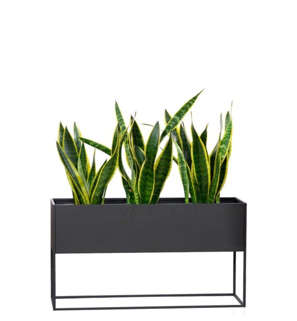 Crisha Rectangular Pedestal Plant Stand by Wayfair | ufurnish.com