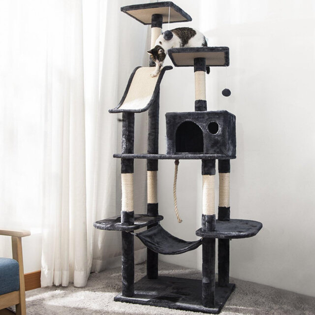 170cm H Alana Cat Tree by Wayfair | ufurnish.com