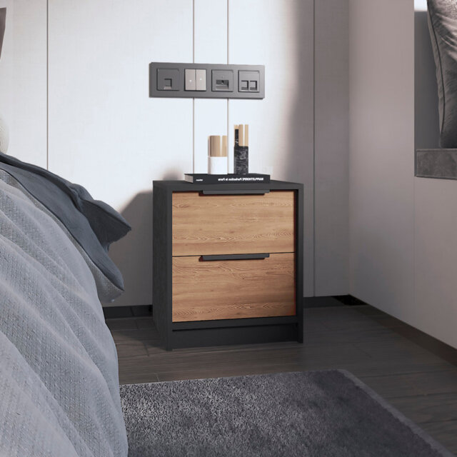 Alysun 2 Drawer Bedside Table by Wayfair | ufurnish.com