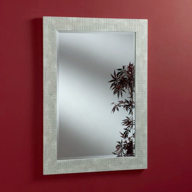 Palladino Plastic Wall Mounted Accent Mirror by Wayfair | ufurnish.com