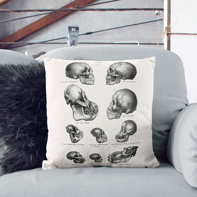 Human, Monkey and Ape Skulls Cushion with Filling by Wayfair | ufurnish.com