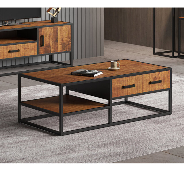 Frame Coffee Table with Storage by Wayfair | ufurnish.com
