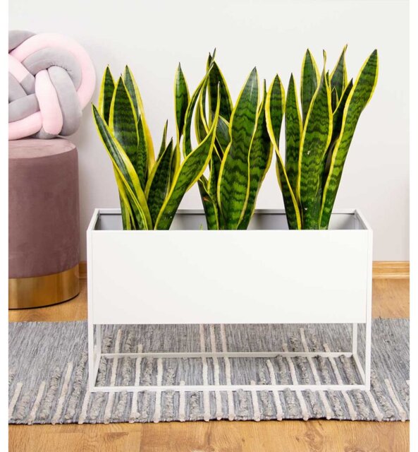 Crishaun Rectangular Pedestal Plant Stand by Wayfair | ufurnish.com