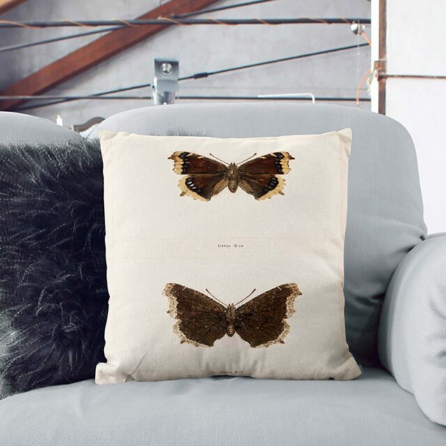 Mourning Cloak Butterfly by S.F. Denton Cushion with Filling by Wayfair ...