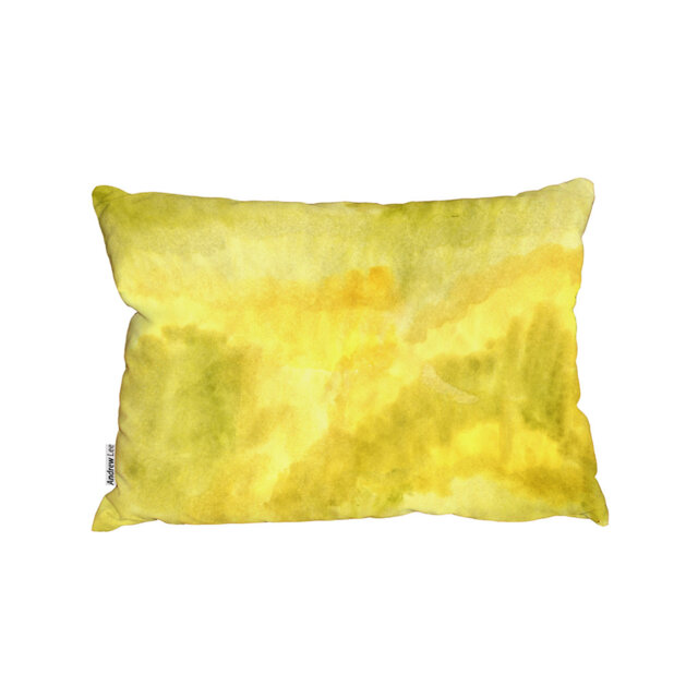 Millena Rectangle Scatter Cushion With Filling by Wayfair | ufurnish.com