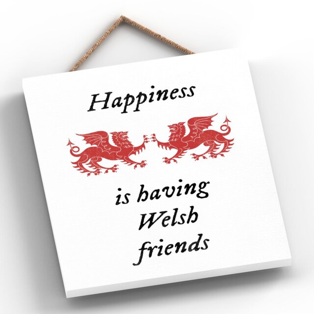 Laforge Happiness is Having Welsh Friends Wall Décor by Wayfair ...