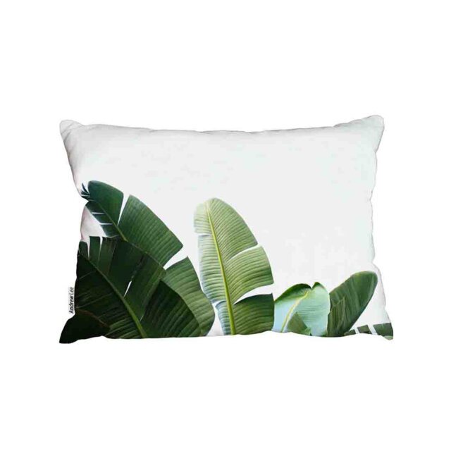 Motil Rectangle Scatter Cushion With Filling by Wayfair | ufurnish.com