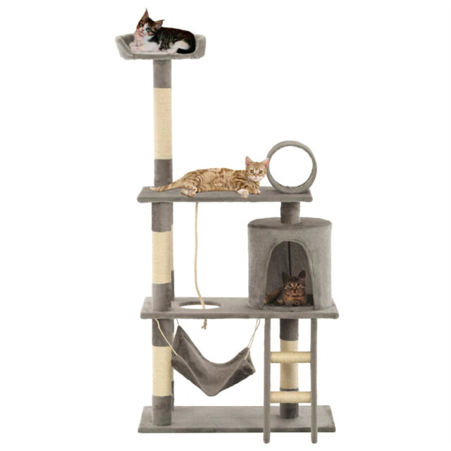 140cm Dunbar Cat Tree by Wayfair | ufurnish.com
